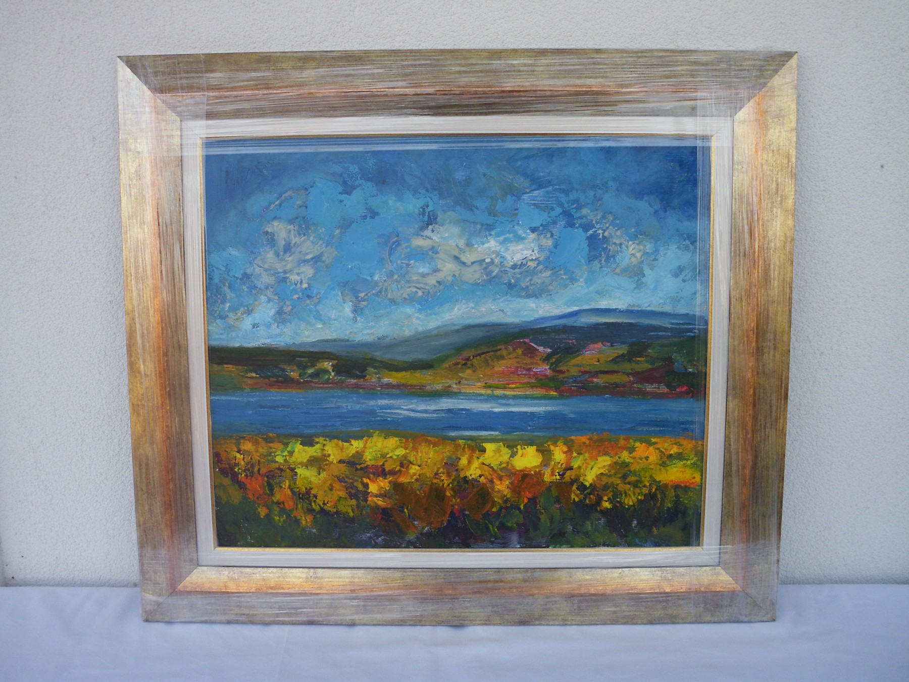 Goran Ostojić (54933971) - Limundo.com