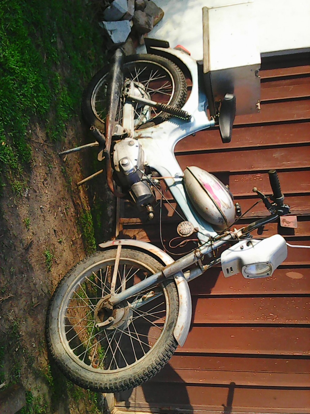 Moped Tomos APN 4 (87851157) - Limundo.com