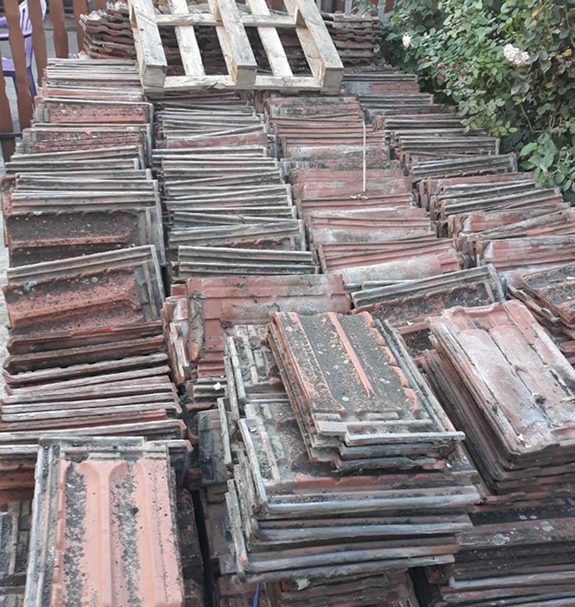 Polovan crep Toza Marković Kikinda 333 (81519011) - Limundo.com