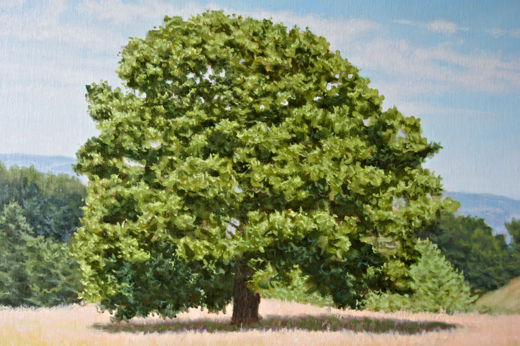 Stari hrast - ulje na platnu (79060027) - Limundo.com